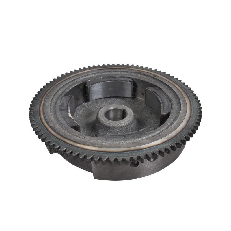 118550234/2 - Volant Magnétique pour Moteur CASTELGARDEN / GGP