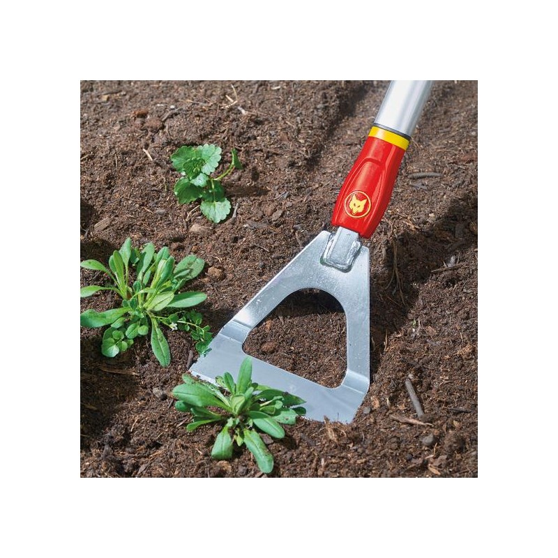 DHM - Binette Hollandaise Multi-Star OUTILS WOLF